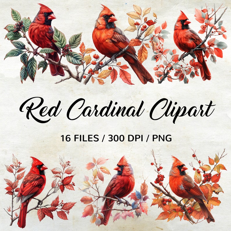 16 Watercolor Red Cardinal Clipart, Memorial Cardinal Clipart ...