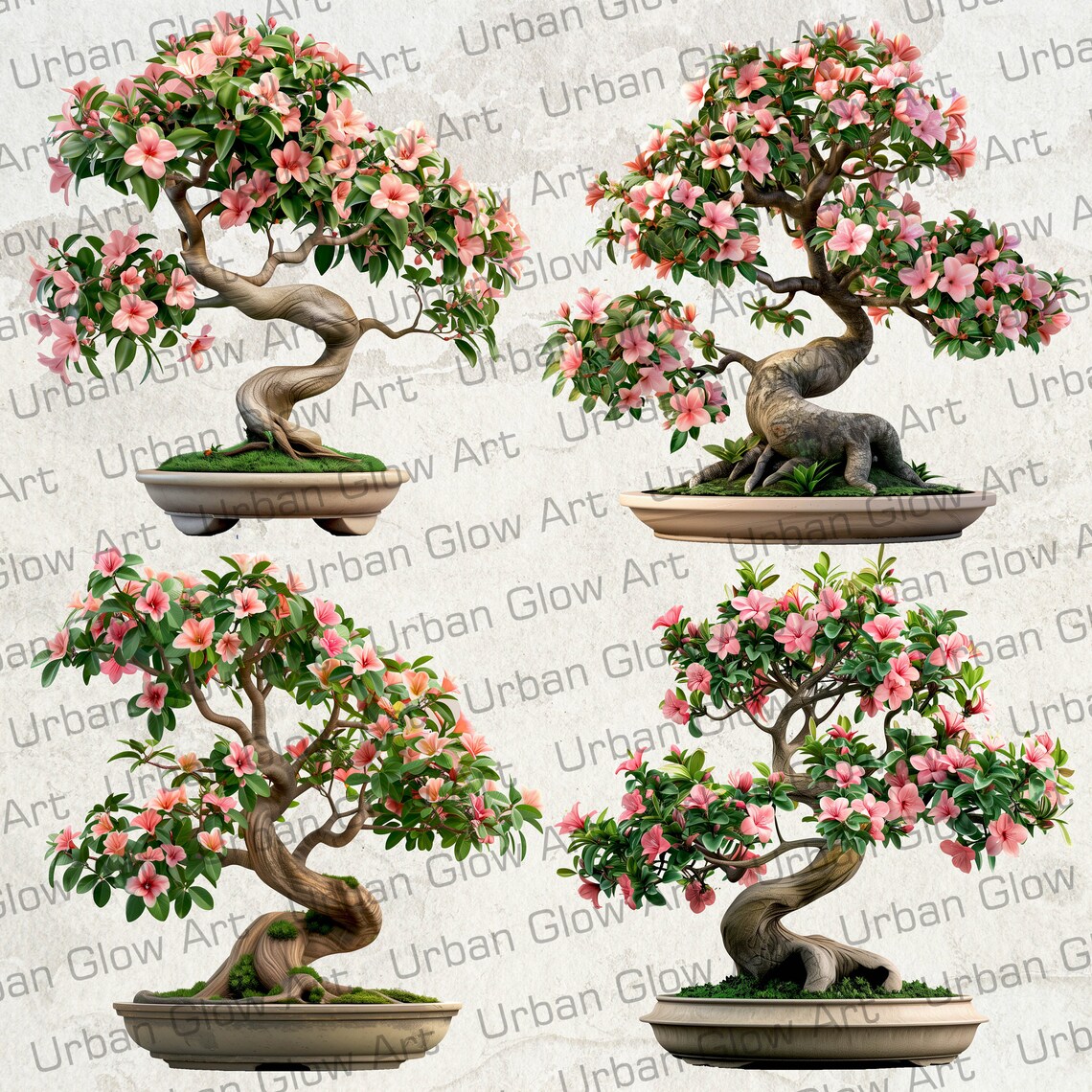 12 Bonsai Tree With Flowers, High Quality Pngs, Illustration Clipart ...