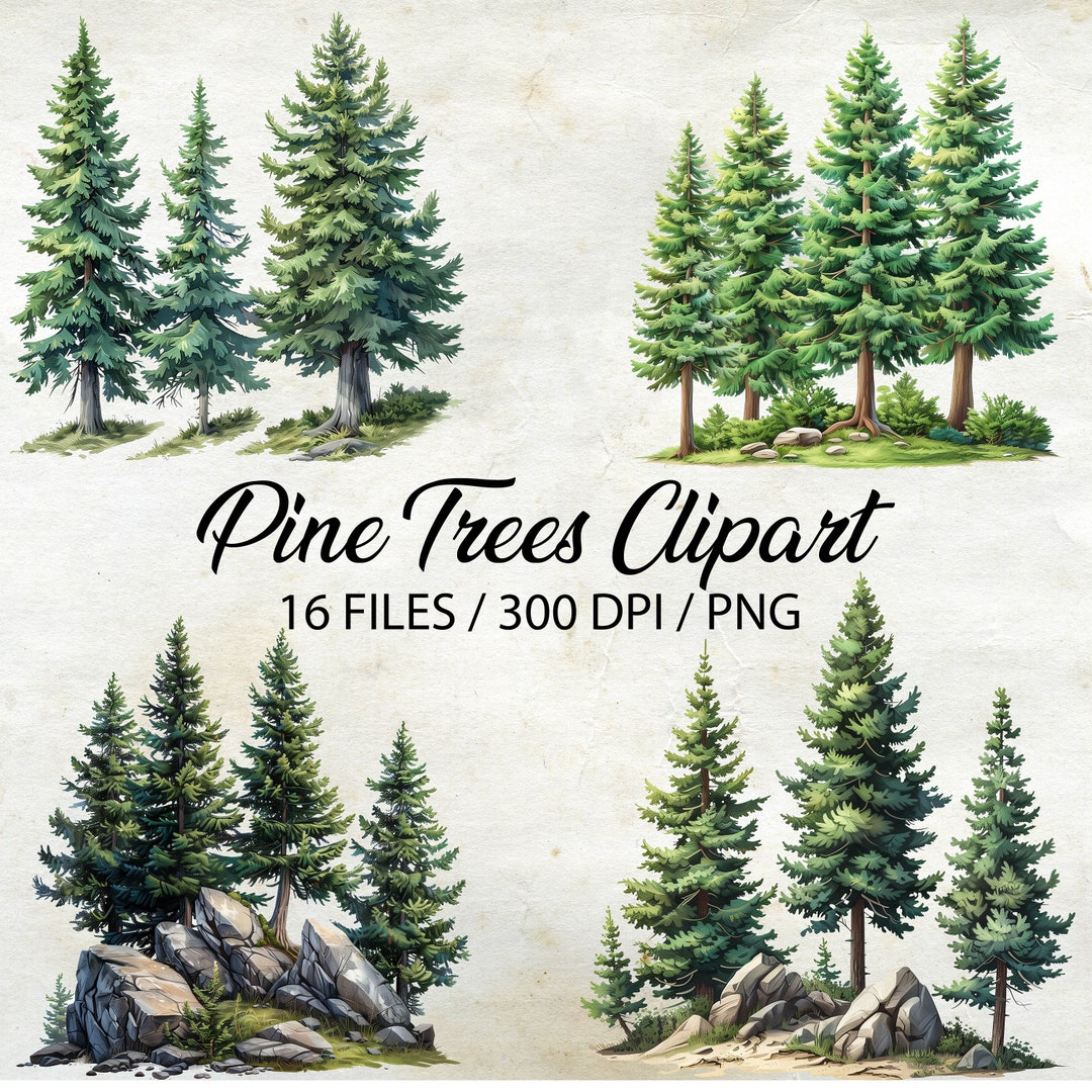 Pine Tree Clipart, Pine Forest Clipart Bundle, 16 Pine Tree Bundle ...