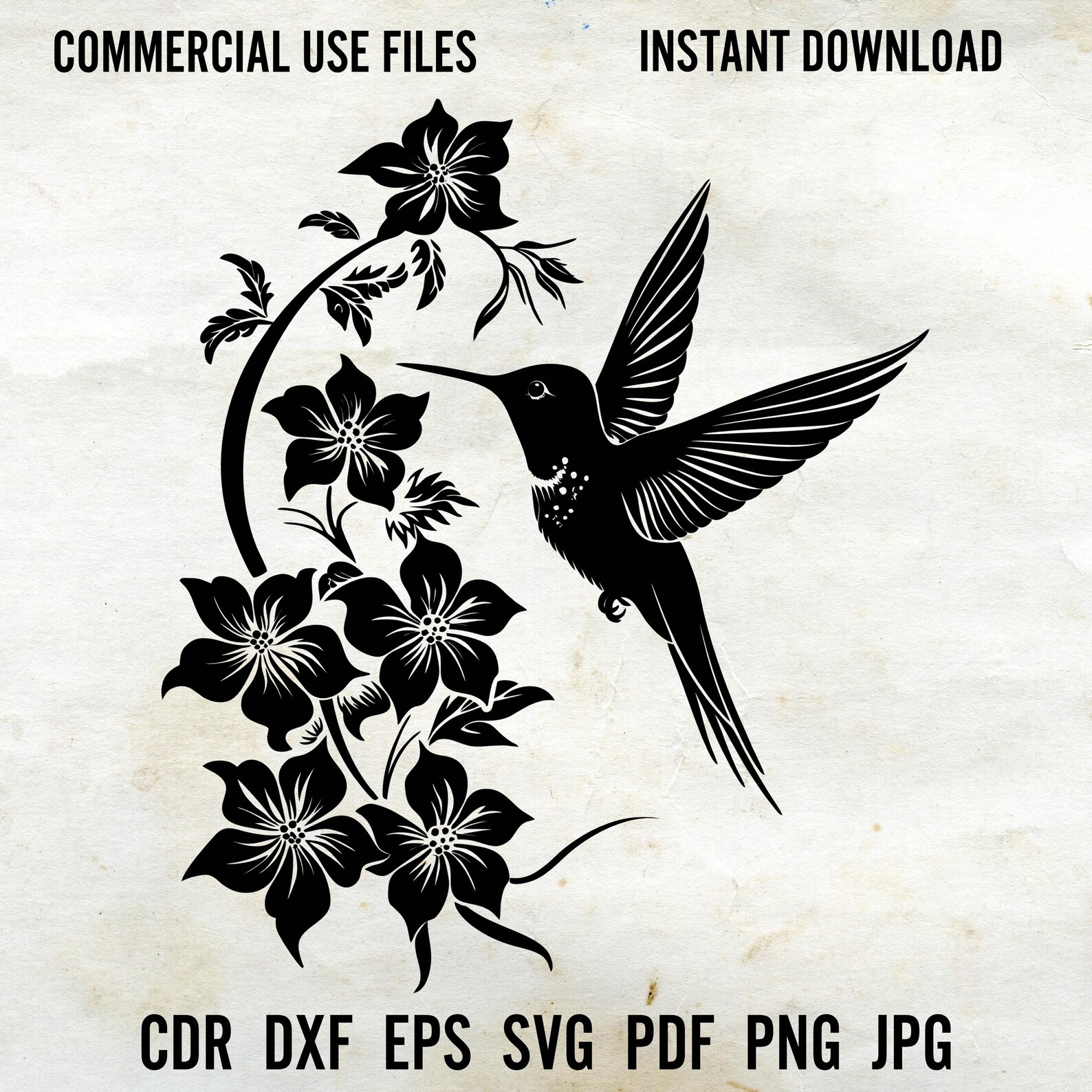 HUMMINGBIRD SVG, Hummingbird Vector, Hummingbird Svg - Cricut ...