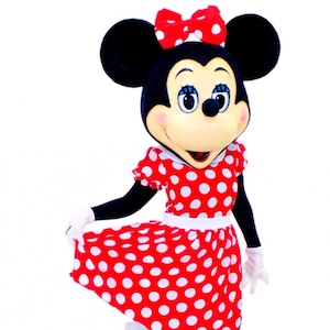 Pink Mouse Mascot Mini Mouse Costume - Etsy