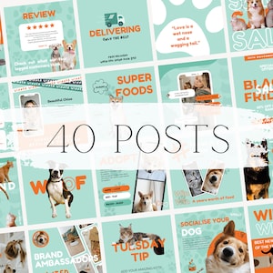 Pet Business Instagram Templates: Dog Groomer & Veterinary Canva ...