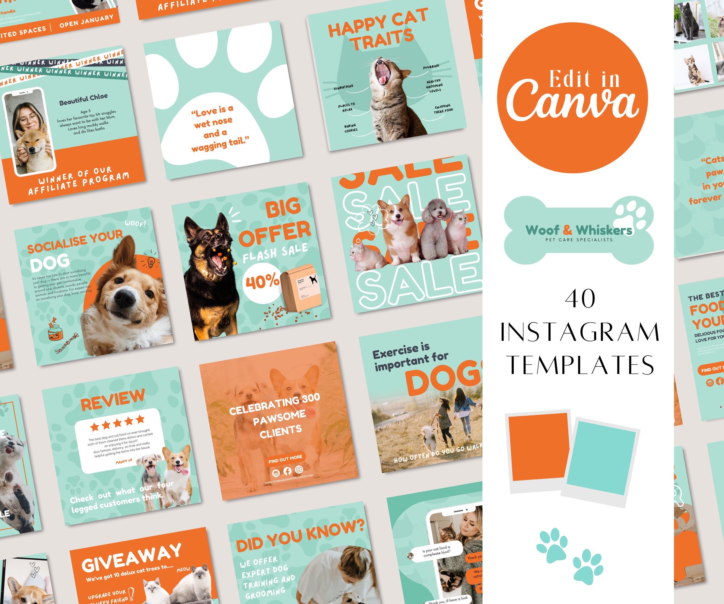 Pet Business Instagram Templates: Dog Groomer & Veterinary Canva ...
