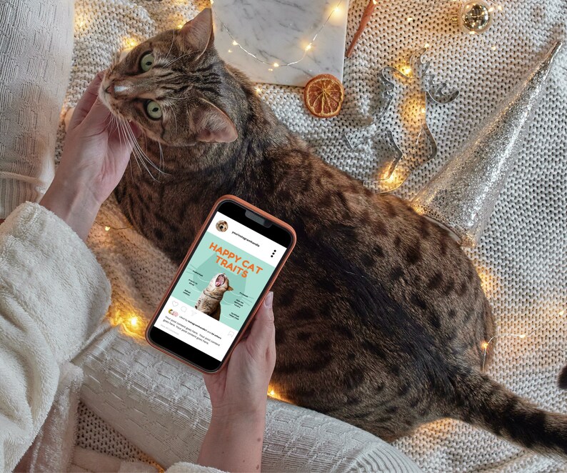 Pet Business Instagram Templates: Dog Groomer, Cat IG (canva Editable ...