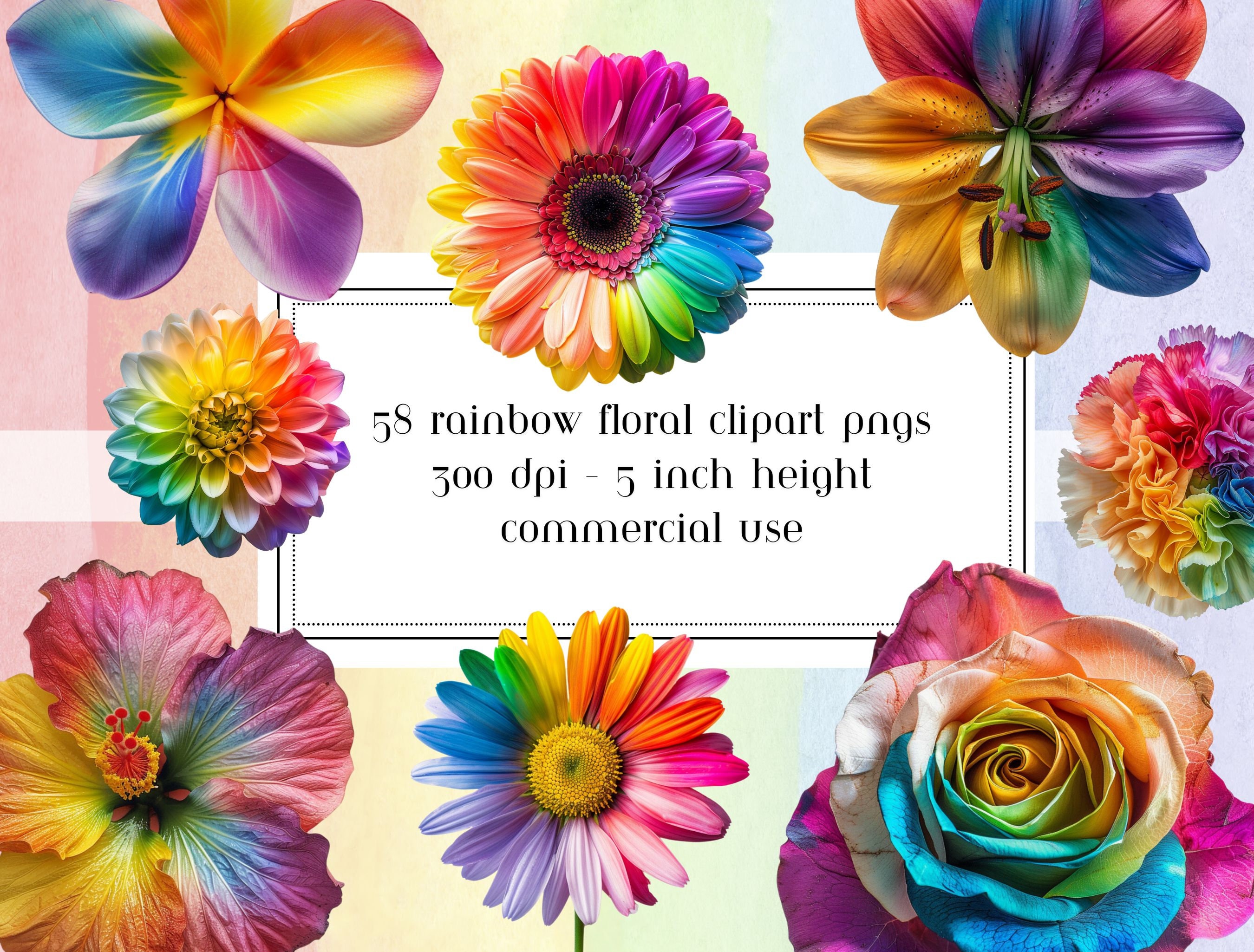 Rainbow Floral Clipart: Colorful Flower Graphics (digital Download) - Etsy