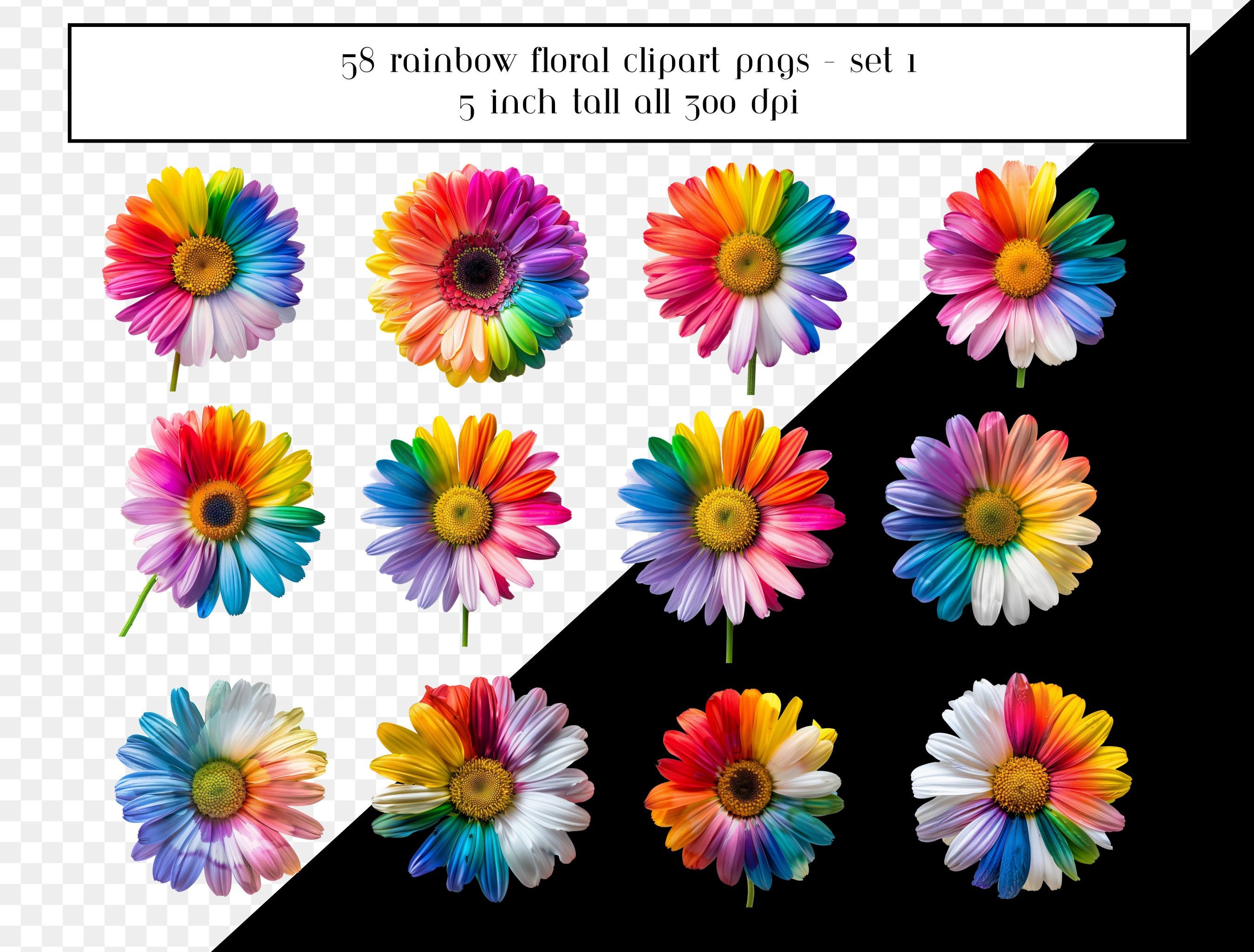 Rainbow Floral Clipart: Colorful Flower Graphics (digital Download) - Etsy