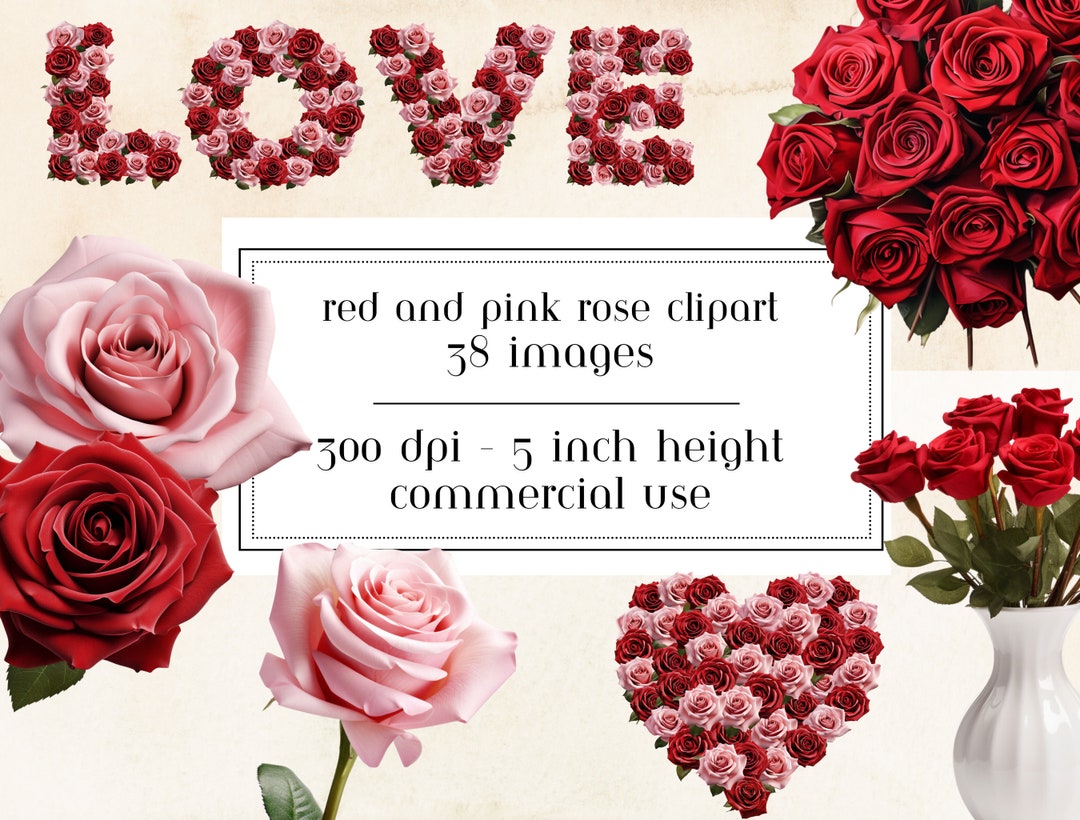 Red and Pink Rose Clipart, Red and Pink Roses, Realistic Rose Clipart ...