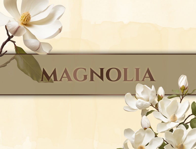 Imágenes prediseñadas de Magnolia realista, gráficos de Magnolia rosa ...