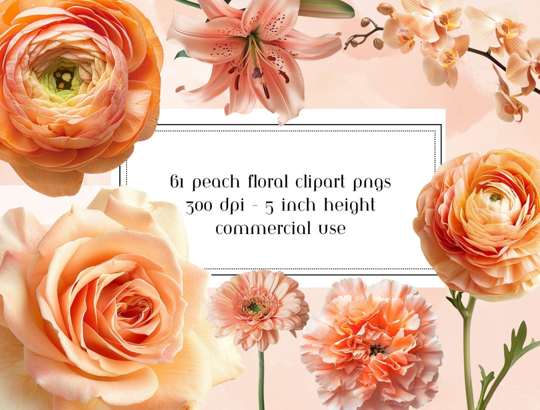 Peach Floral Clipart: Realistic Flower Graphics (digital Download) - Etsy