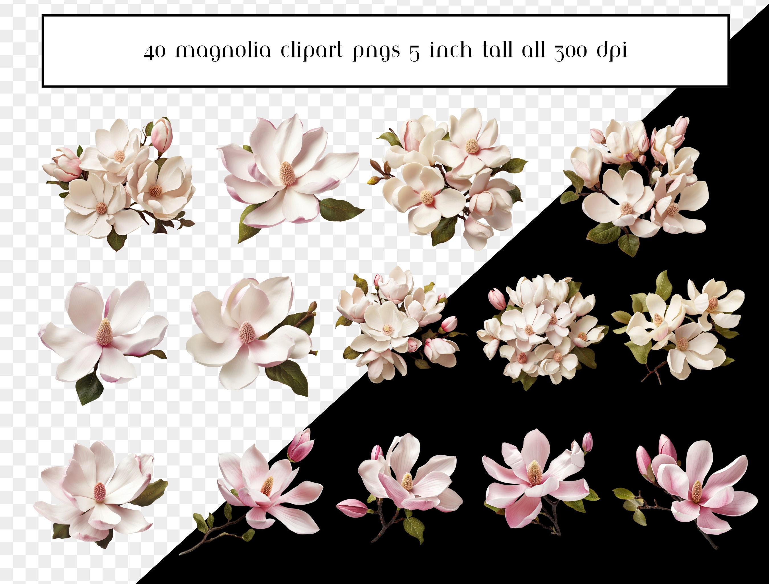 Realistic Magnolia Clipart, Pink Magnolia Graphics, Floral Clipart ...