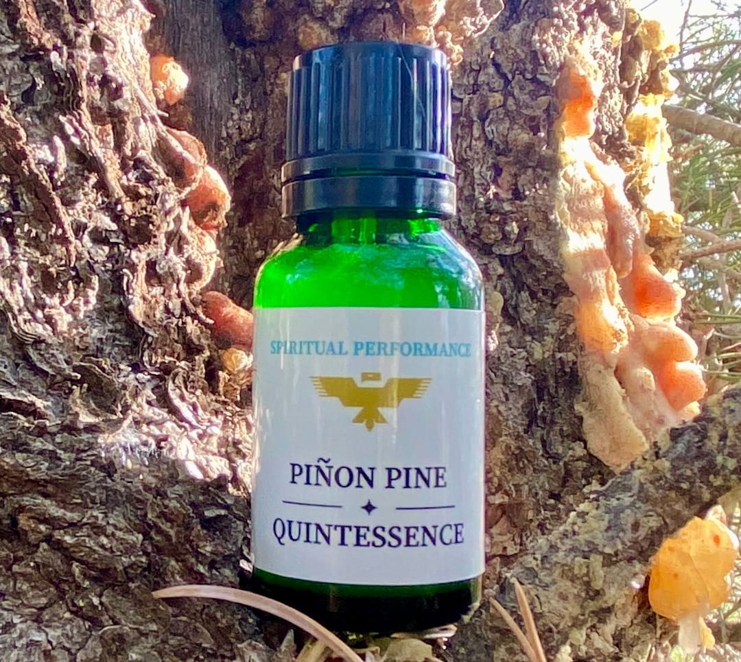 Piñon Pine Quintessence Tincture - Etsy