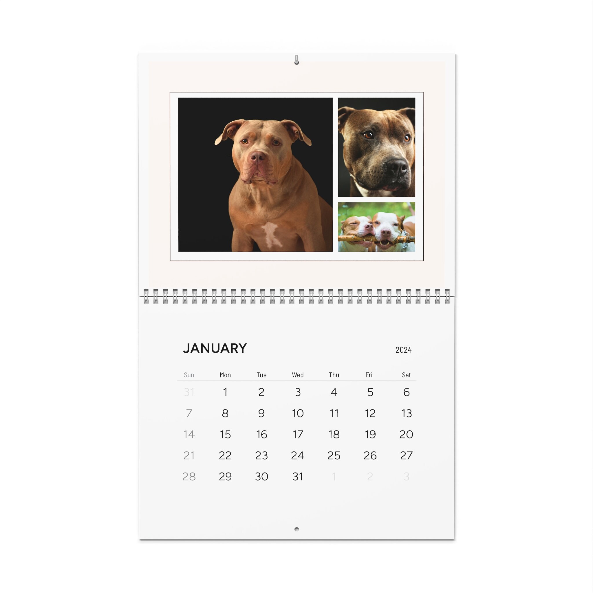 Stay Organized in 2024 With Our Pitbull Calendar Wall Art Perfect ...