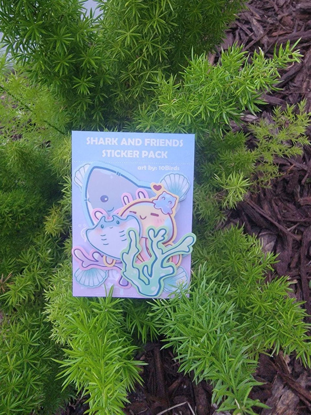 Shark and Friends Vinyl Sticker Pack! - Etsy