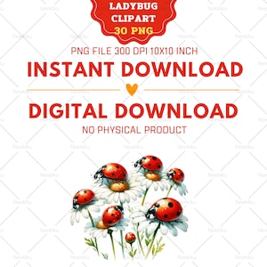 Ladybug Clipart, Cute Ladybug Png, Bug Clipart, Love Bug Clipart ...