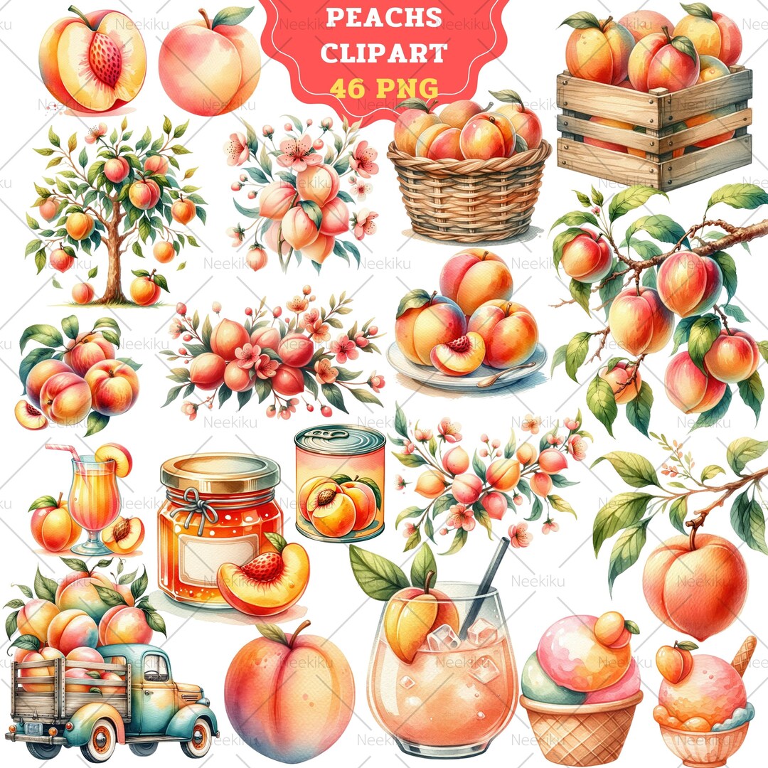 Peach Clipart, DIGITAL DOWNLOAD, Watercolor Peaches, Peach Illustration ...