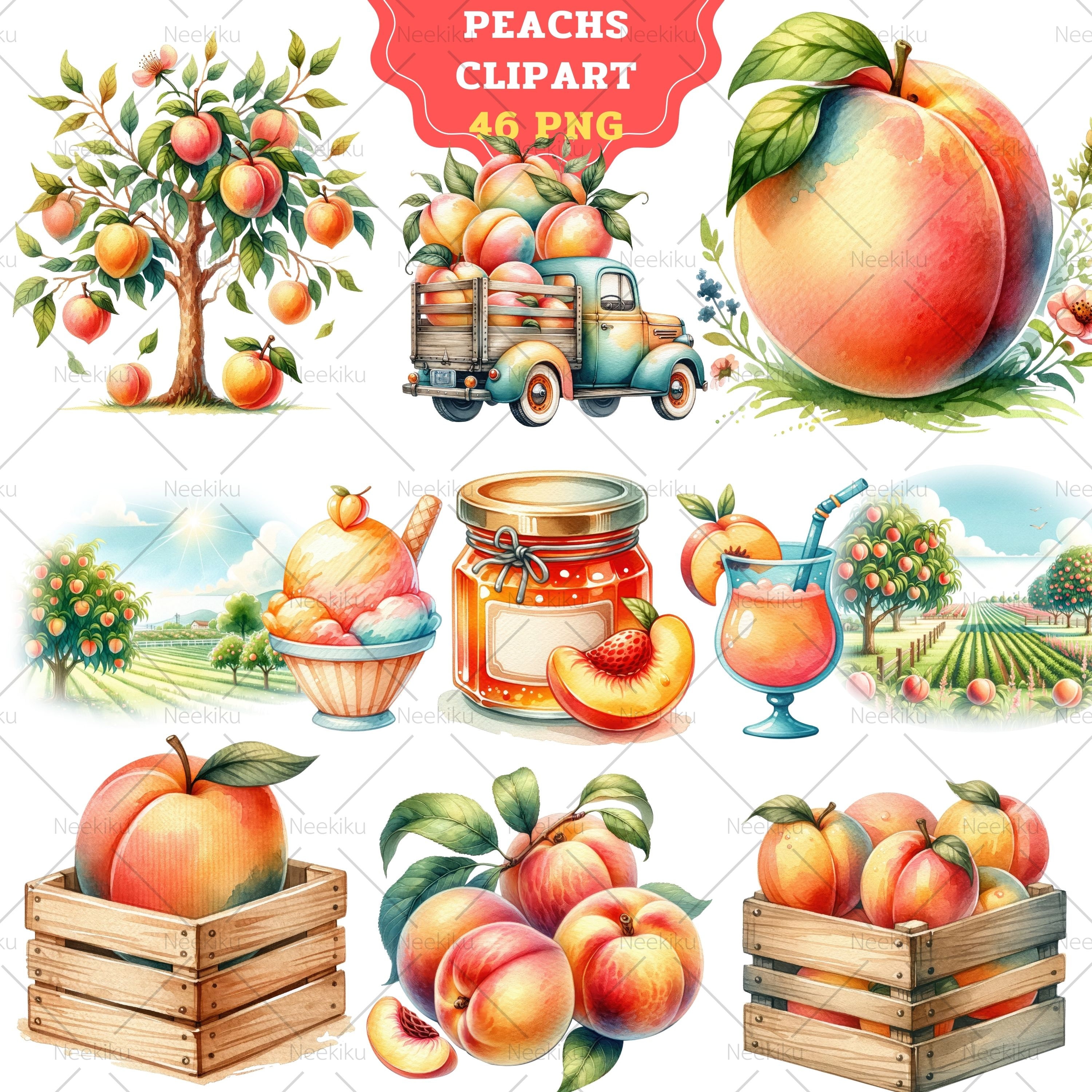 Peach Clipart, DIGITAL DOWNLOAD, Watercolor Peaches, Peach Illustration, Fruit Clip Art, Spring ...