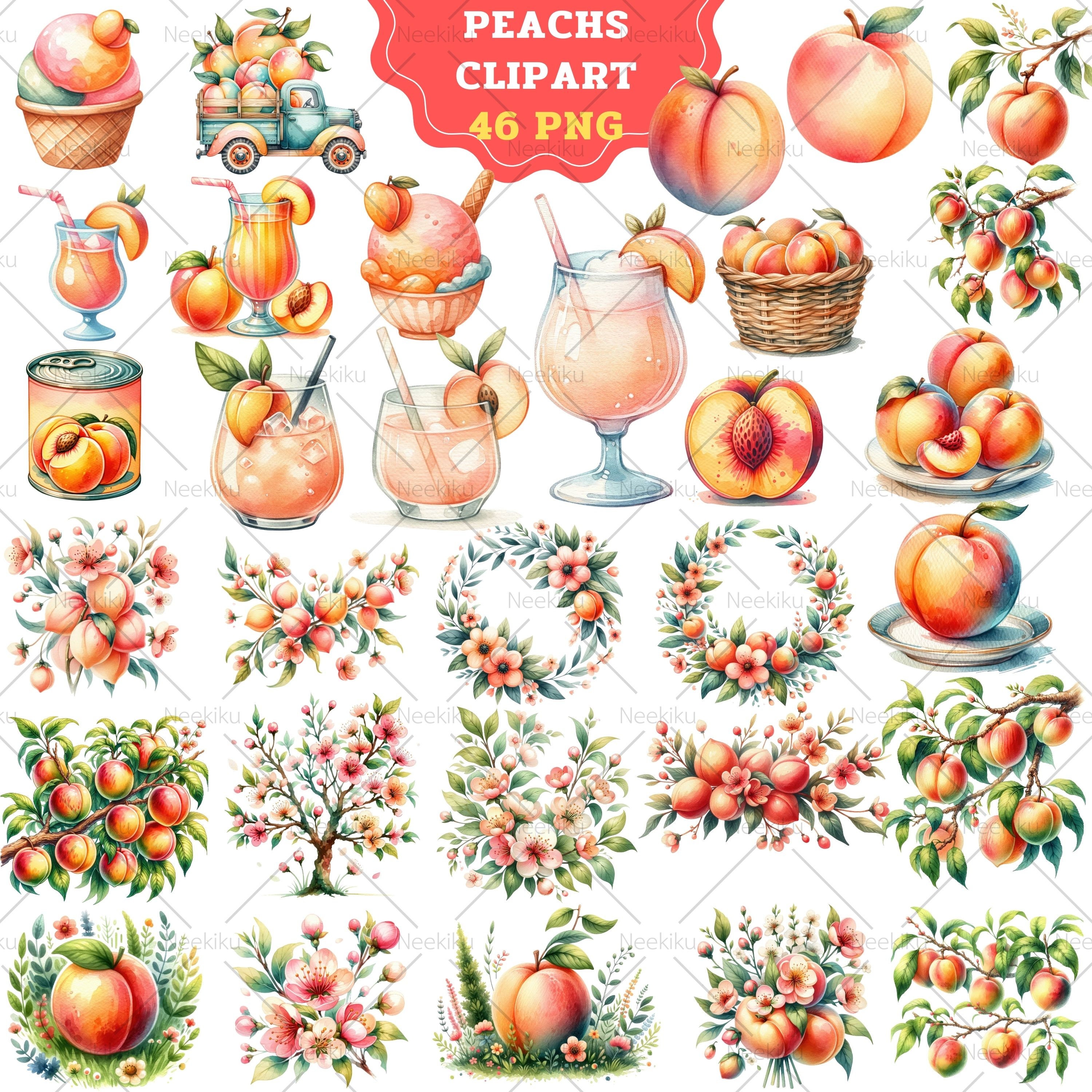 Watercolor Peach Clipart: Spring Fruit Illustrations (digital Download ...