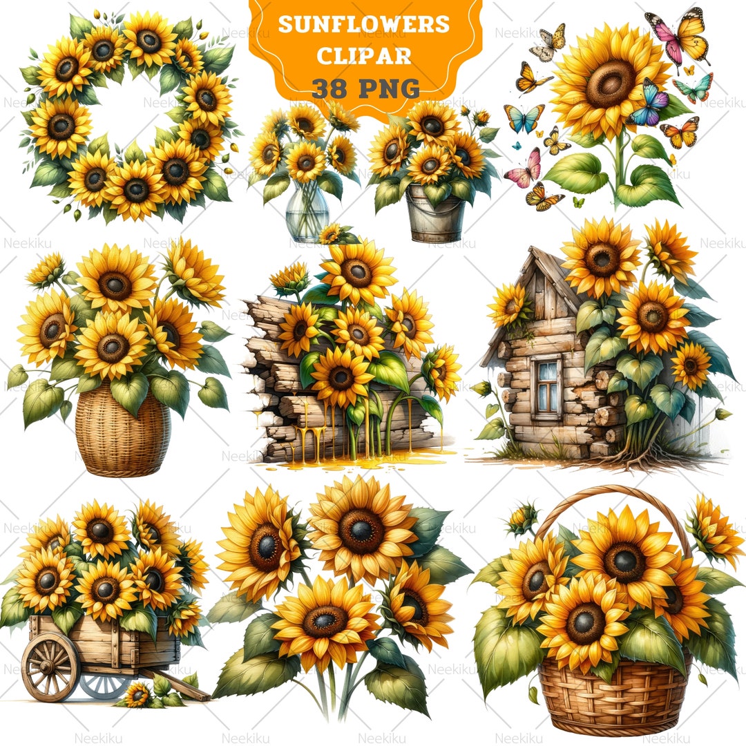Watercolor Sunflowers Clipart Bundle: Botanical Art (digital Download ...