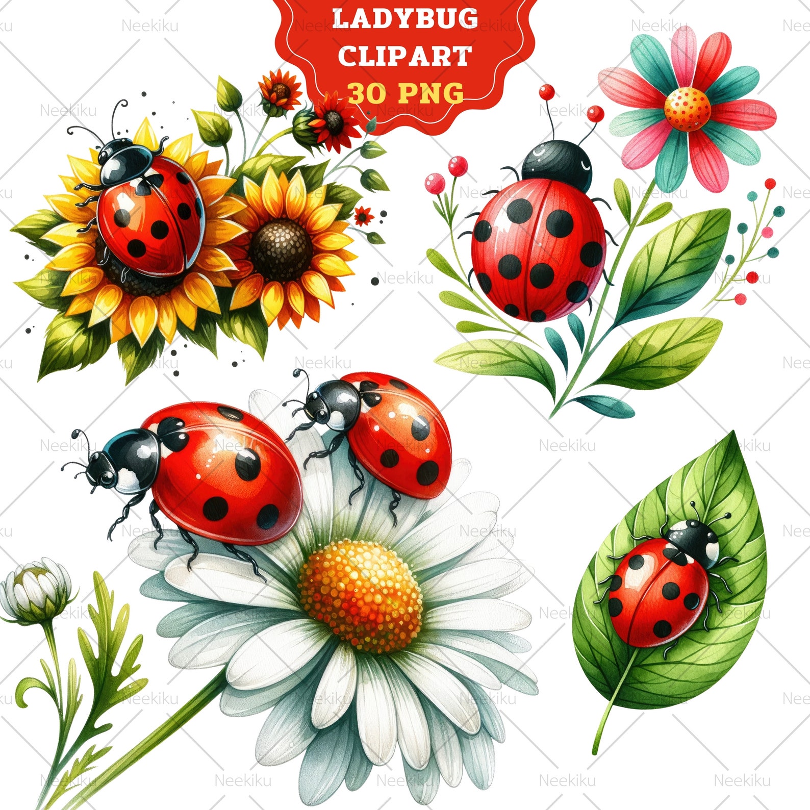 Ladybug Clipart, Cute Ladybug Png, Bug Clipart, Love Bug Clipart ...