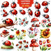 Lady Bug Clipart Spring Lady Bug PNG Cute Lady Bug PNG Insect Clipart ...