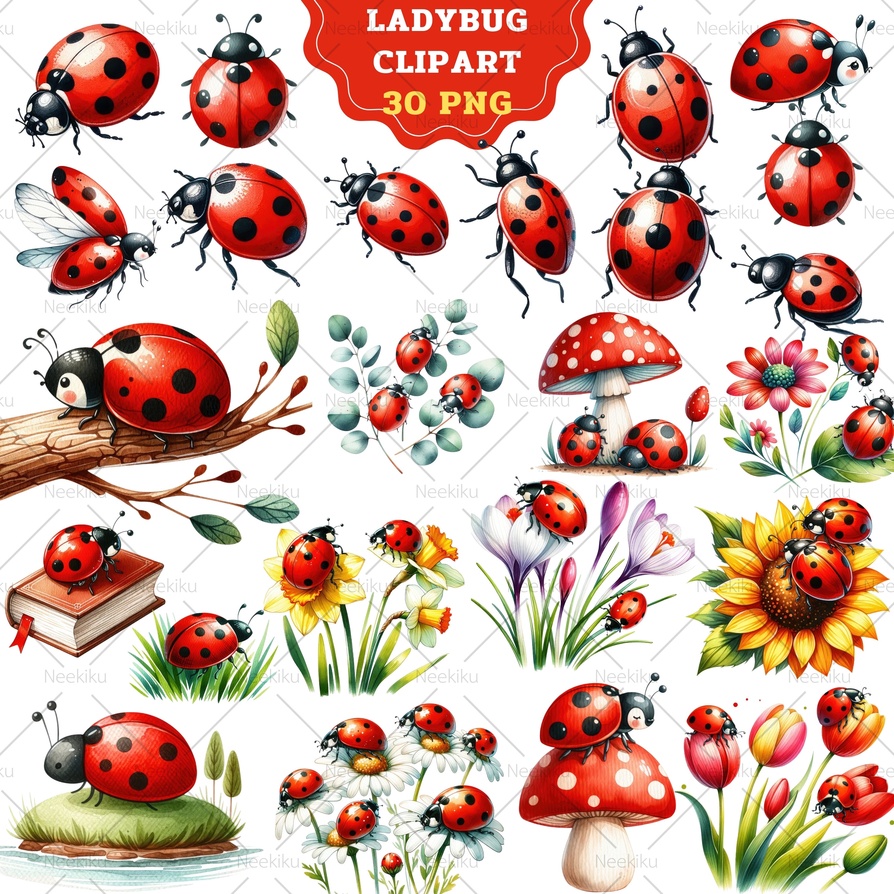 Ladybug Clipart, Cute Ladybug Png, Bug Clipart, Love Bug Clipart ...