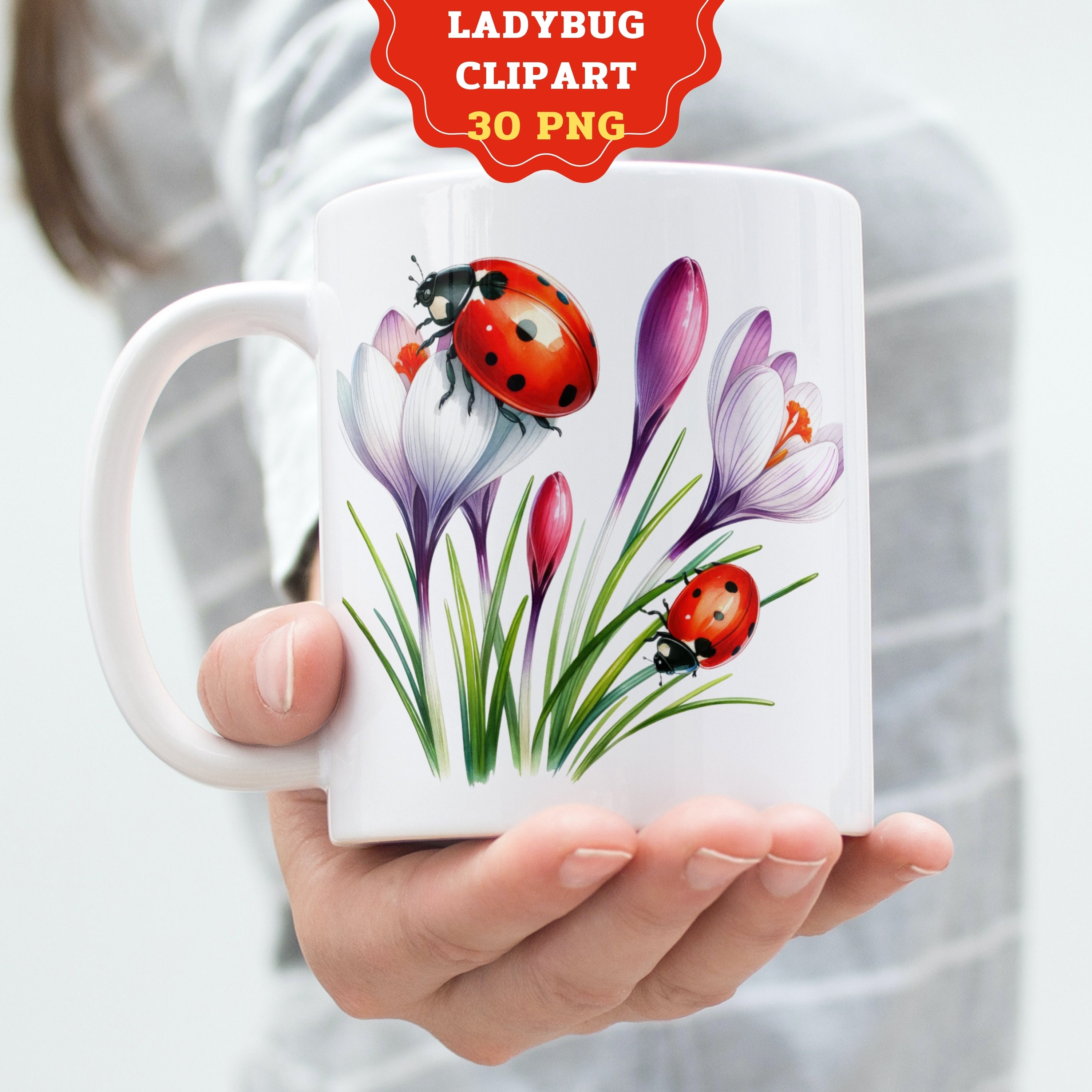 Ladybug Clipart, Cute Ladybug Png, Bug Clipart, Love Bug Clipart ...