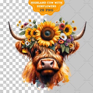 Highland Cow With Sunflowers, Sunflowers Watercolor, Highland Cow PN ...
