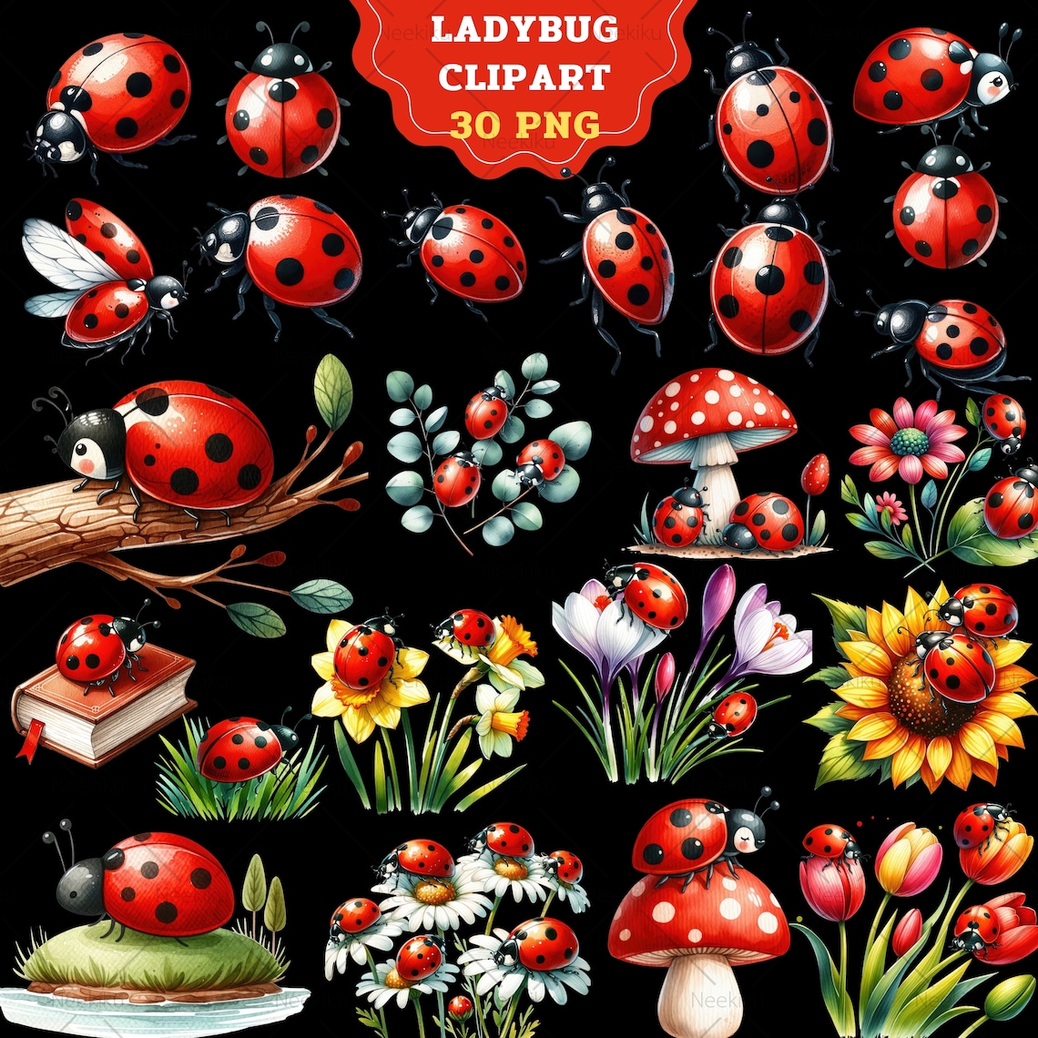 Ladybug Clipart, Cute Ladybug Png, Bug Clipart, Love Bug Clipart ...