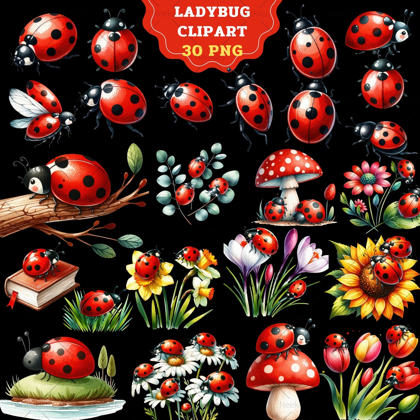 Ladybug Clipart, Cute Ladybug Png, Bug Clipart, Love Bug Clipart ...