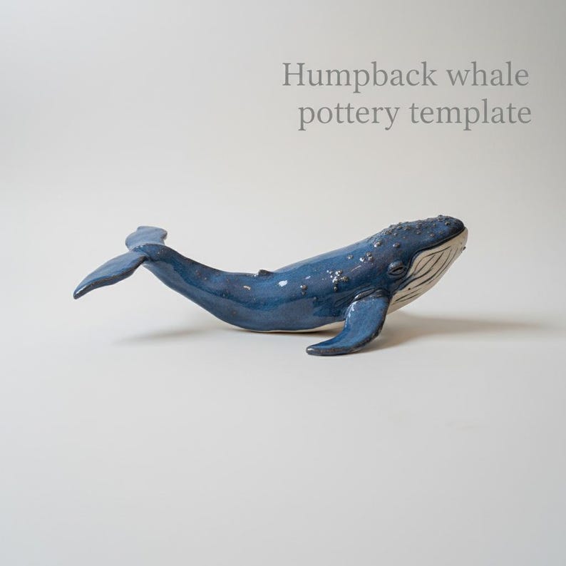 Whale Pottery Template: Slab Building PDF (instant Download) - Etsy