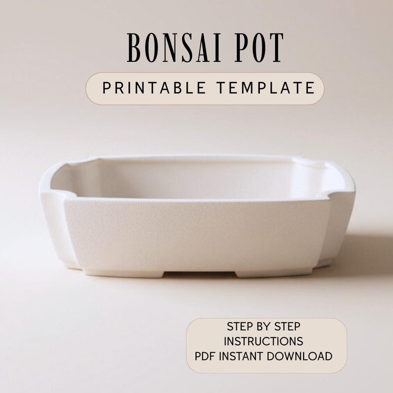 Wabi Sabi Pottery Bonsai - Etsy