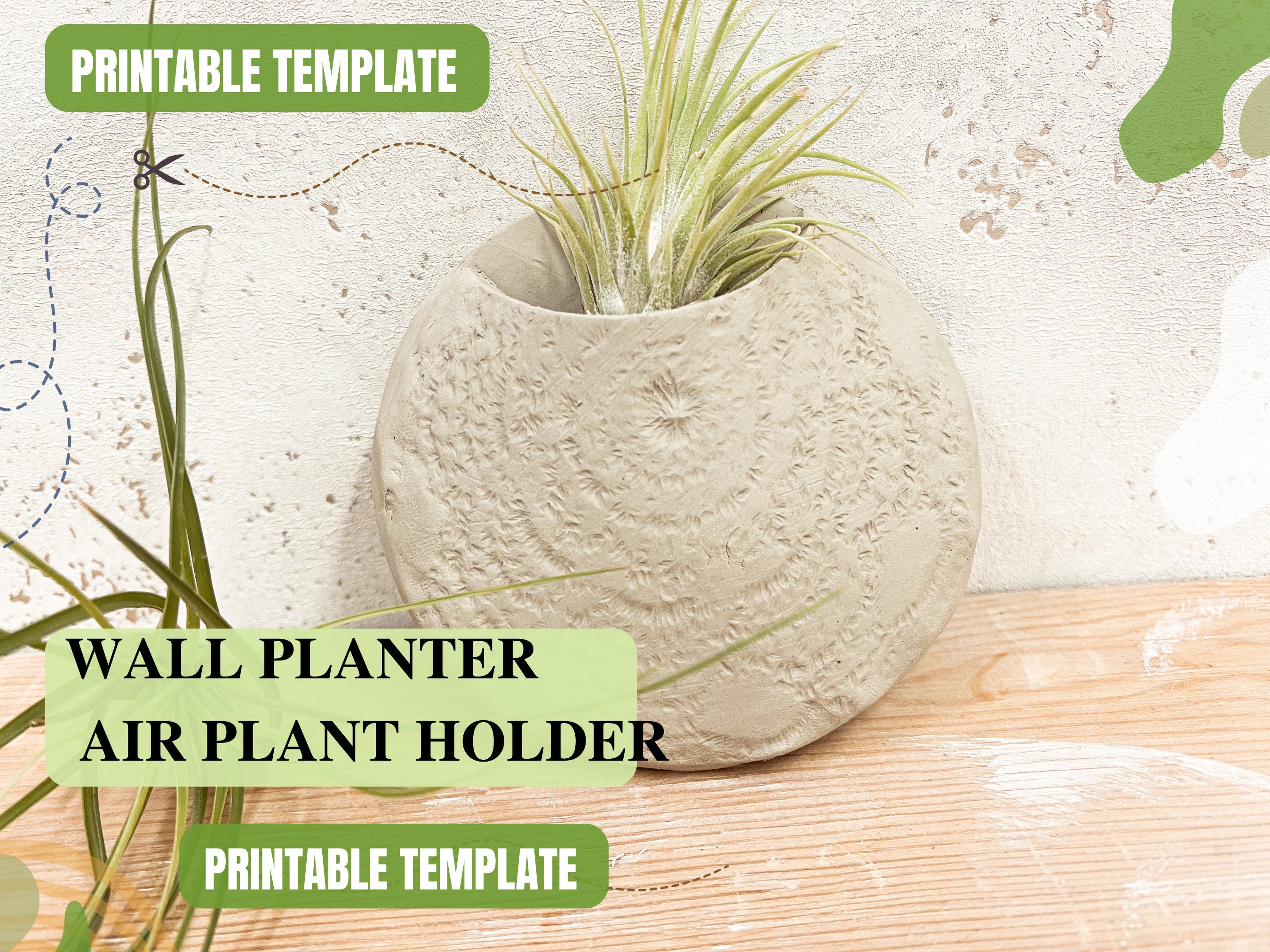 Wall Planter Pottery Template: Slab Building Air Plant Holder (PDF ...