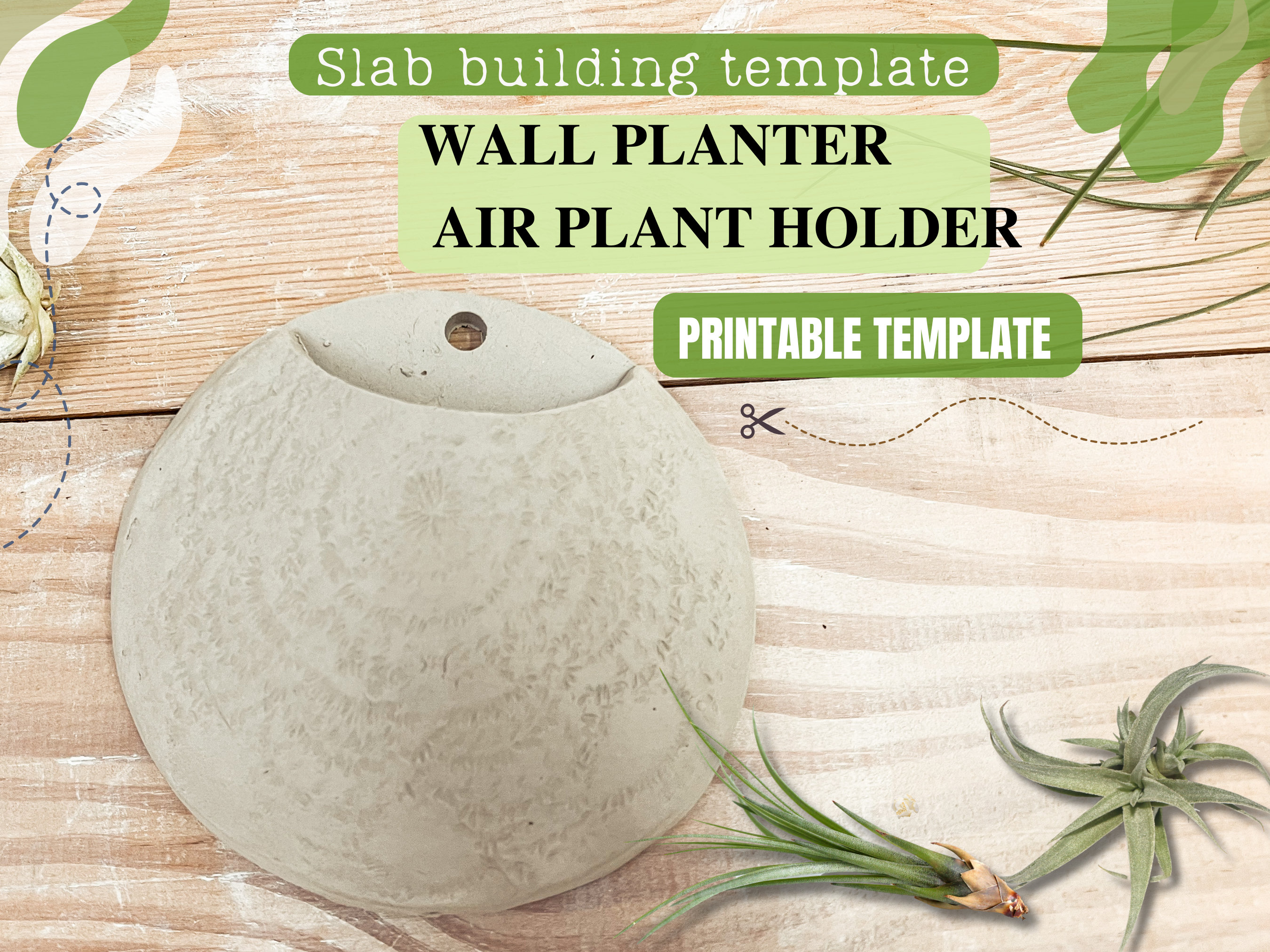 Wall Planter Pottery Template: Slab Building Air Plant Holder (PDF ...