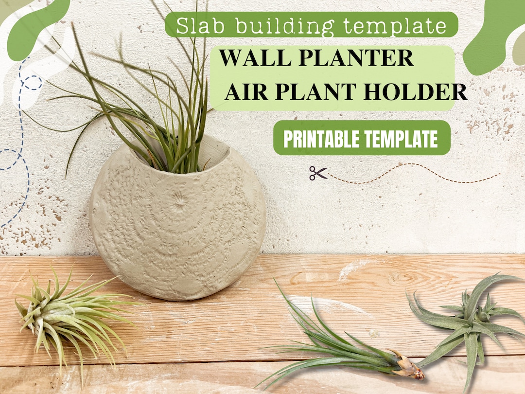Wall Planter Pottery Template: Slab Building Air Plant Holder (PDF ...