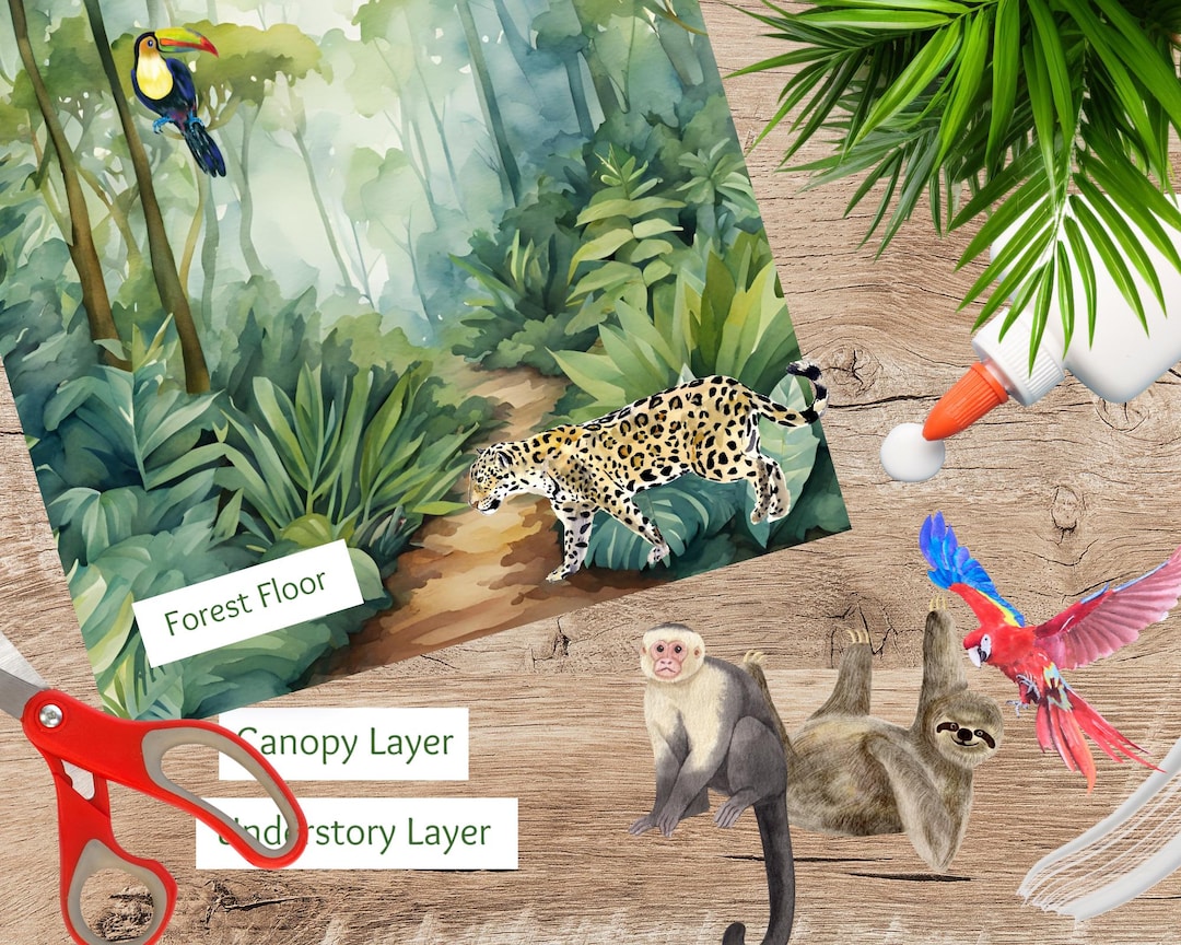 Create Your Own Rainforest Activity Pack - Etsy