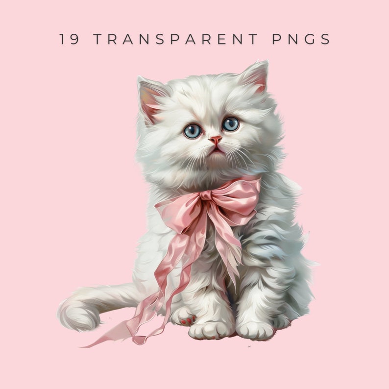 Pink Coquette Clipart Bundle Watercolor Vintage Coquette PNG Shabby ...