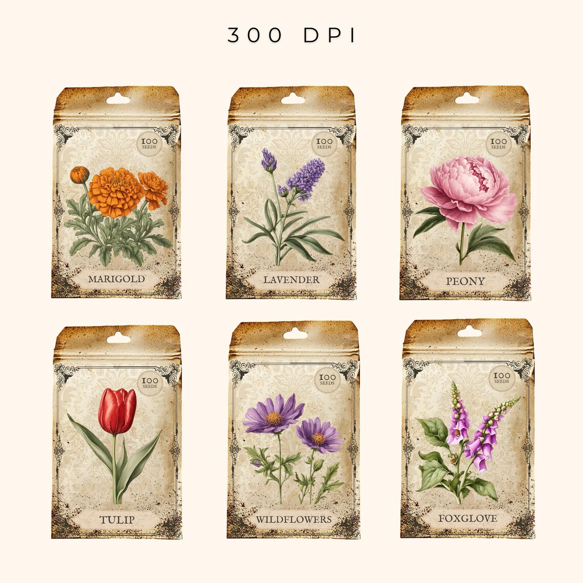 Flower Seed Packets Clipart Vintage Seed Packets Junk Journal PNG Seed ...
