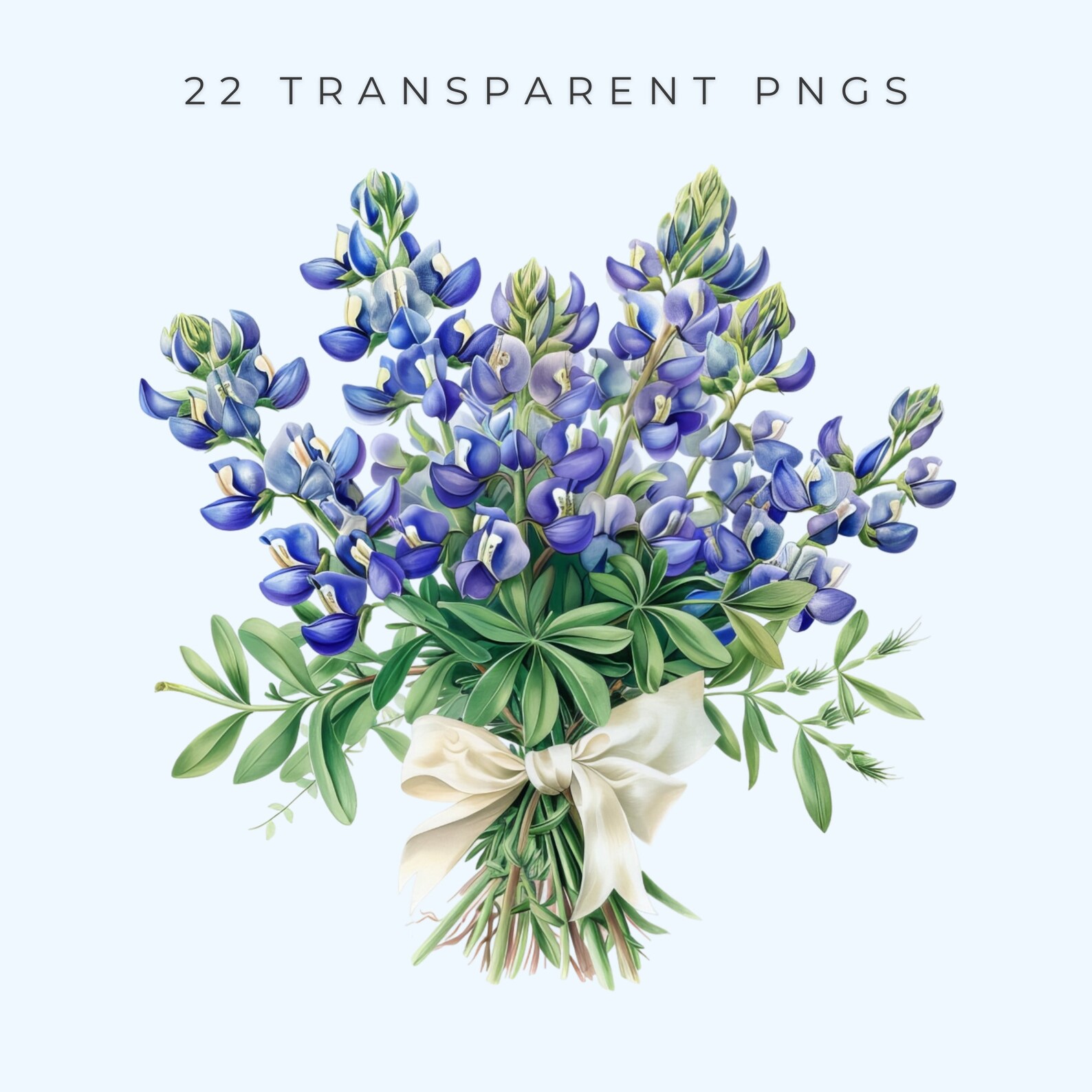 Bluebonnet Clipart Bundle PNG Watercolor Bluebonnet Clip Art Set Blue ...