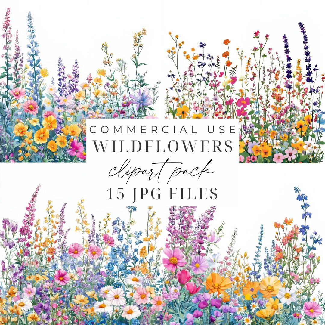 Wildflowers Clipart Summer Wildflowers Clipart Bundle Spring Flowers ...
