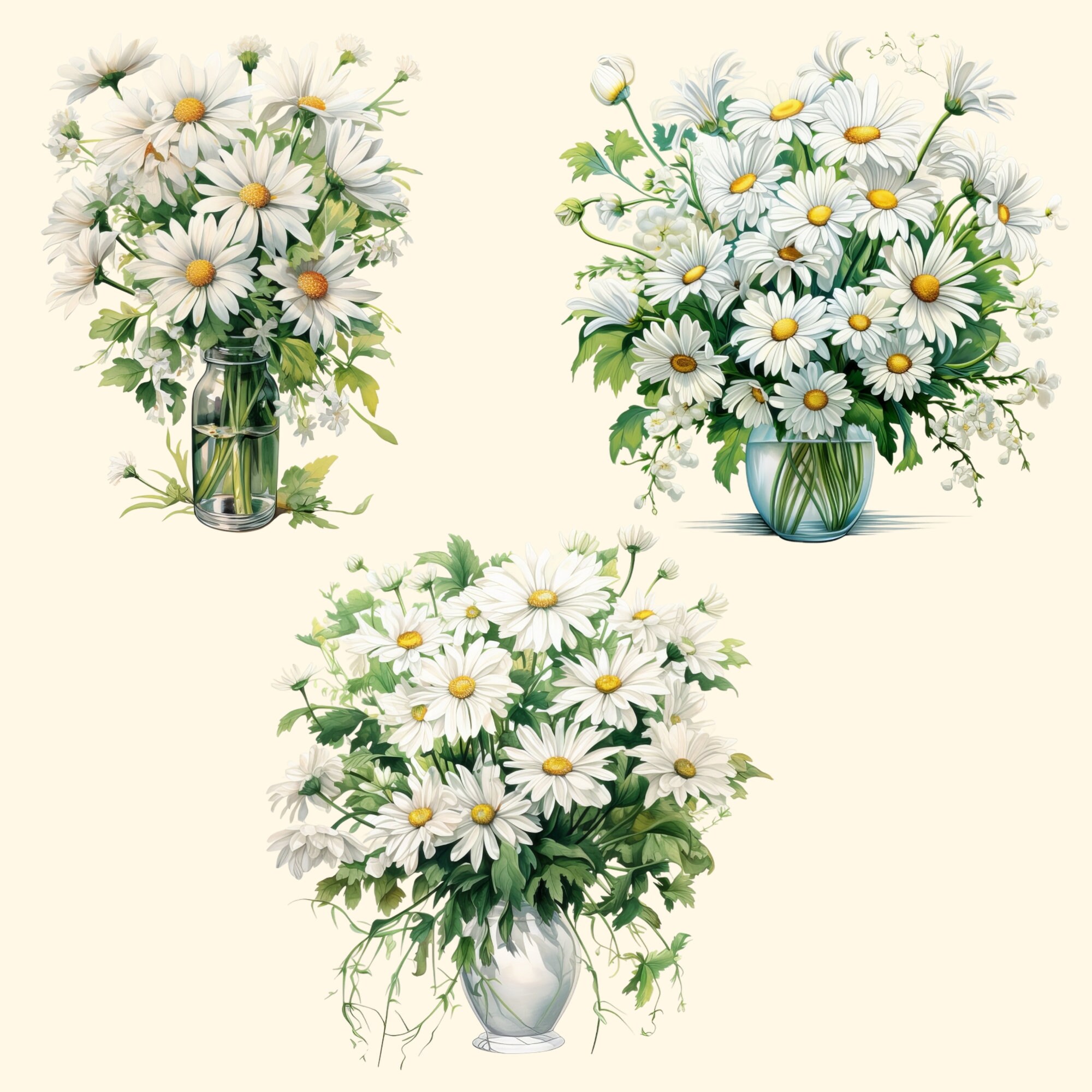 Daisies Clipart Bundle, Watercolor Daisy Clipart Set, Spring Flowers ...