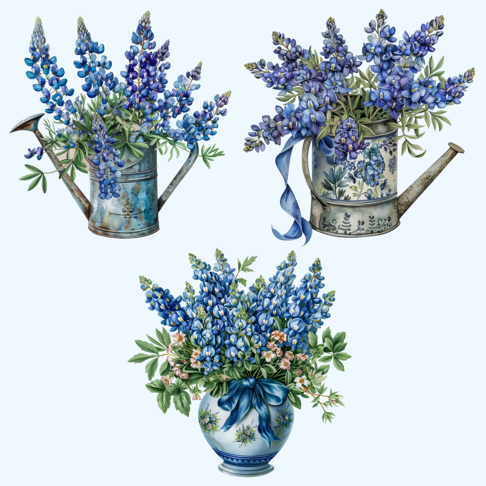 Bluebonnet Clipart Bundle PNG Watercolor Bluebonnet Clip Art Set Blue ...