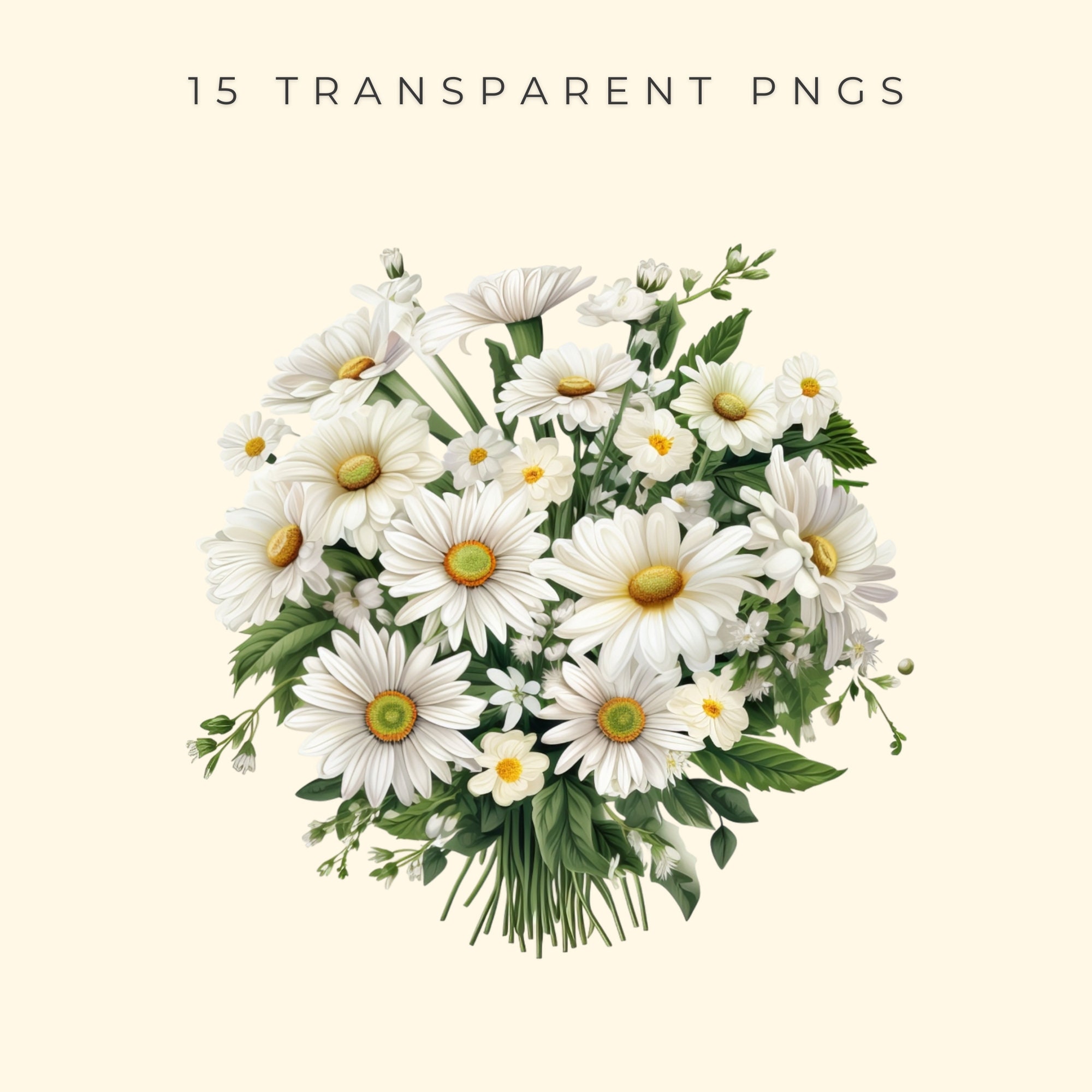 Daisies Clipart Bundle, Watercolor Daisy Clipart Set, Spring Flowers ...