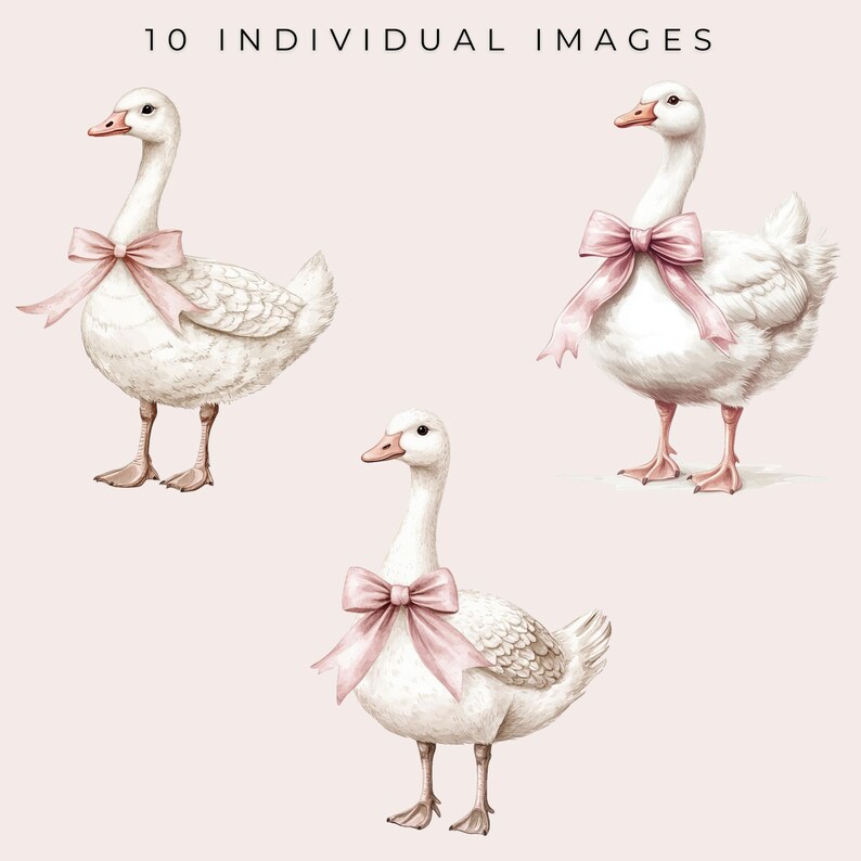 Watercolor Geese Clipart PNG Vintage Goose Clipart Digital Images Farm ...