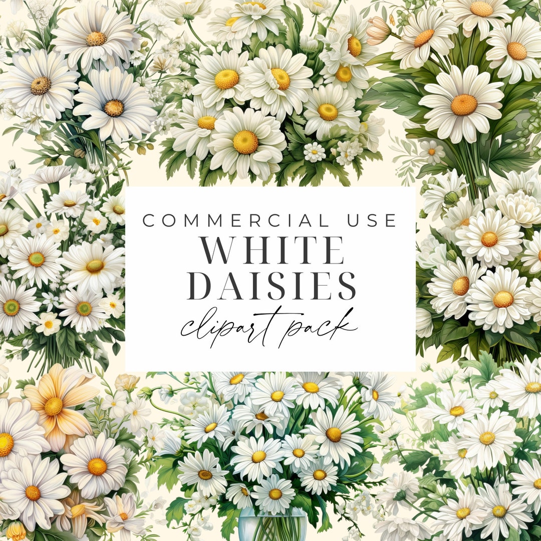 Daisies Clipart Bundle, Watercolor Daisy Clipart Set, Spring Flowers ...