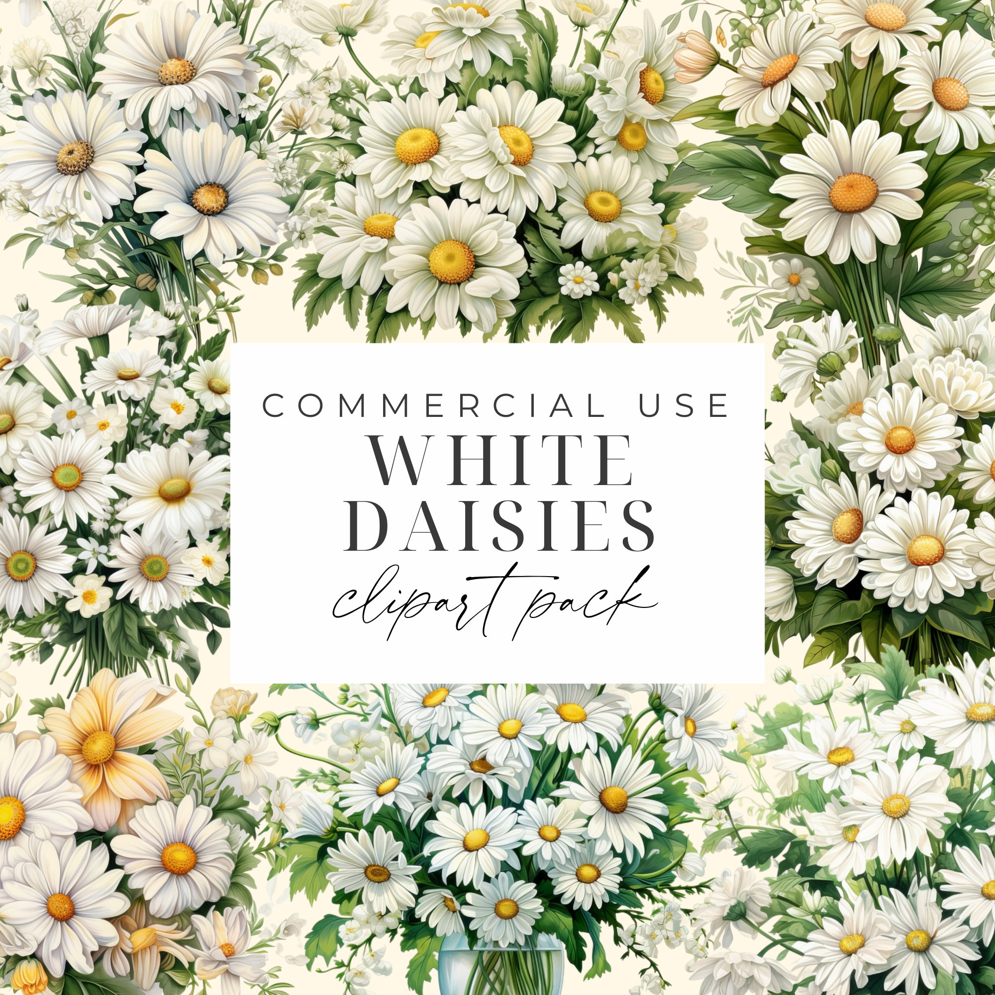 Daisies Clipart Bundle, Watercolor Daisy Clipart Set, Spring Flowers ...