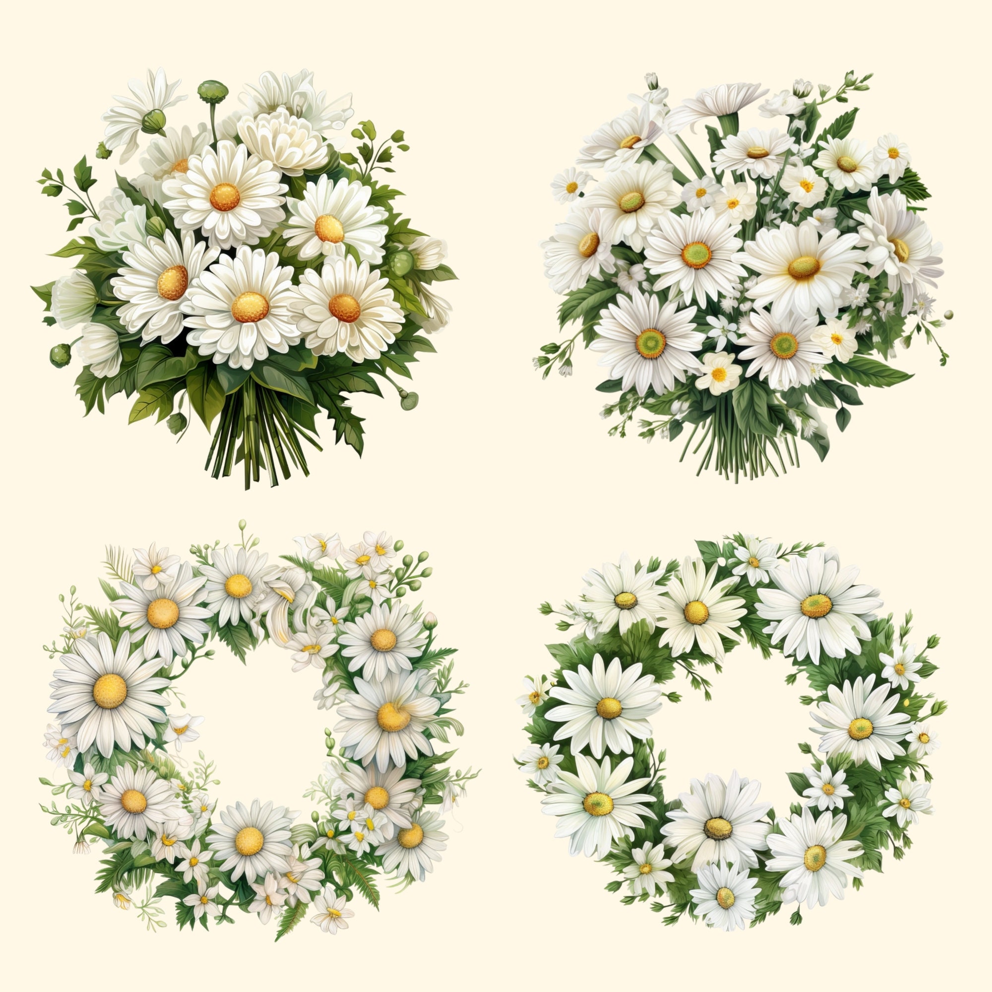 Daisies Clipart Bundle, Watercolor Daisy Clipart Set, Spring Flowers ...