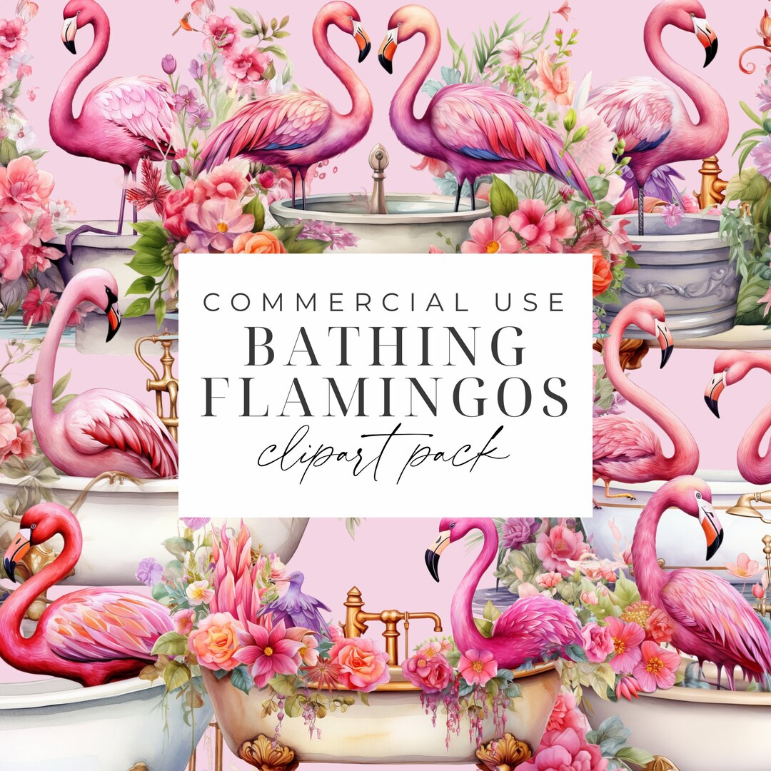Flamingo Clipart Set Pngs, Commercial Use, Flamingo Digital Clipart ...
