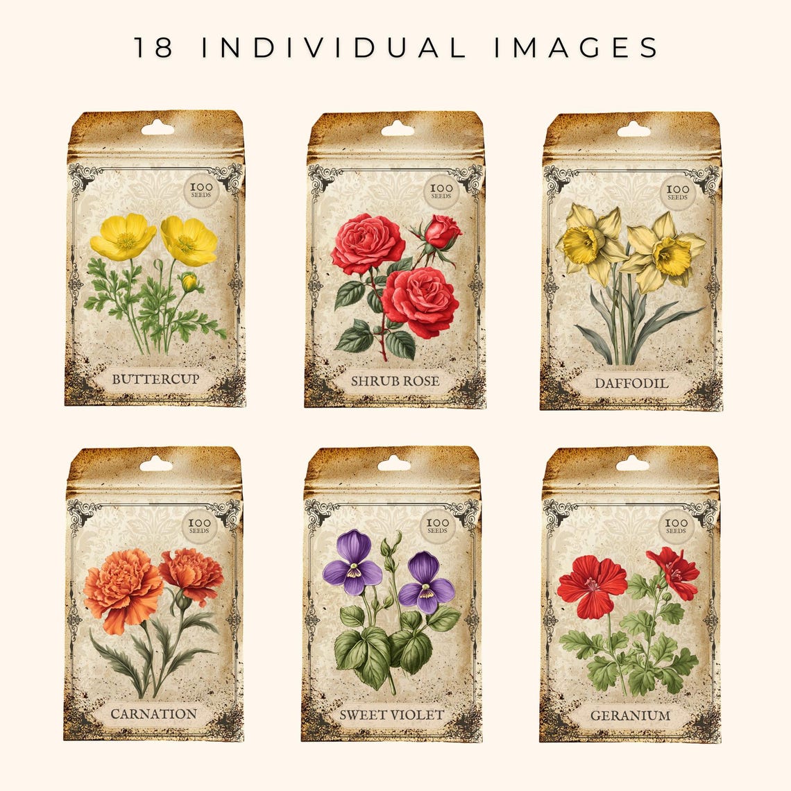 Flower Seed Packets Clipart Vintage Seed Packets Junk Journal PNG Seed ...