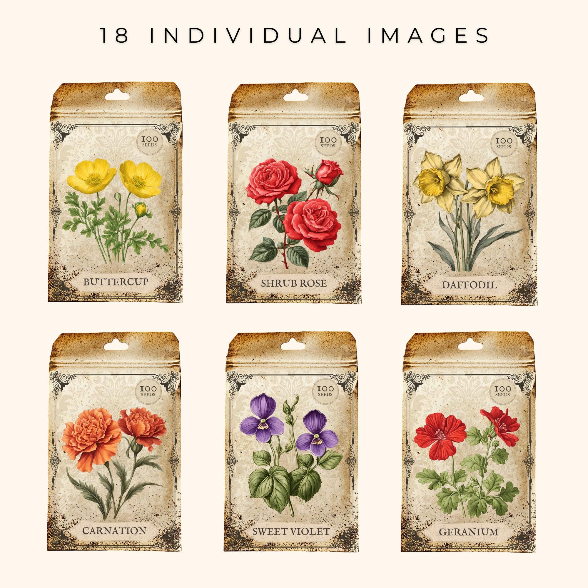 Flower Seed Packets Clipart Vintage Seed Packets Junk Journal PNG Seed ...