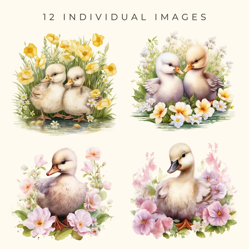 Ducklings Clipart Set, Cute Fluffy Ducklings Clipart, Baby Ducks Bundle ...